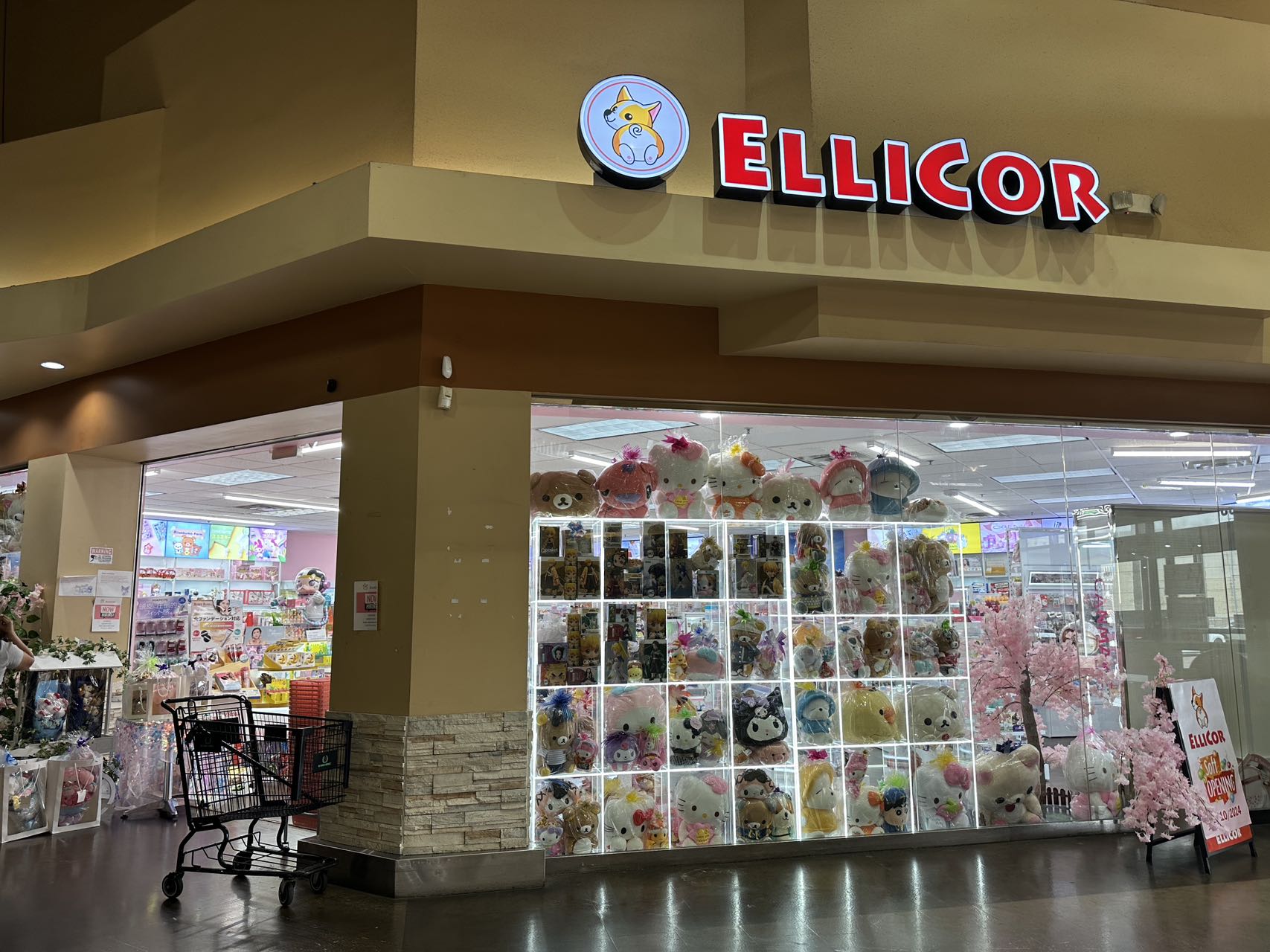 Ellicor-Blalock 1005 Blalock Rd unit d,Houston,TX,US,77055